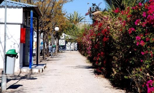 Camping Bon Sol - El Campello - Alicante