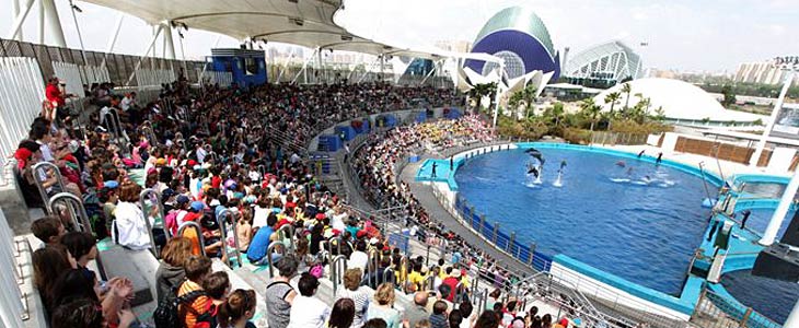 Entradas Oceanogràfic, Valencia - Valencia