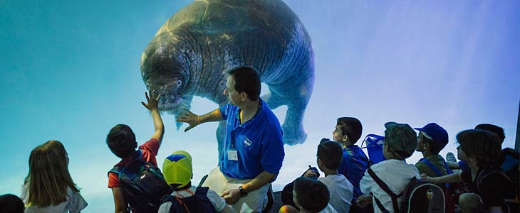 Entradas Oceanogràfic, Valencia - Valencia