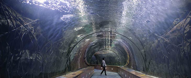 Entradas Oceanogràfic, Valencia - Valencia
