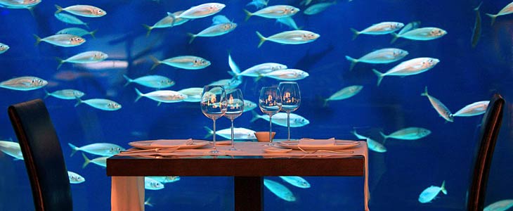 Entradas Oceanogràfic, Valencia - Valencia