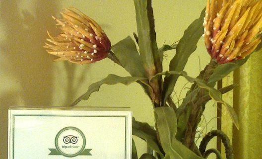 Hotel Domus Livia Luxury Suites - Via Nazionale - Roma